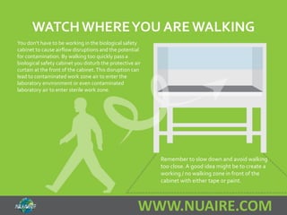 Tips for Working Safely in your Biosafety Cabinet | PPTX