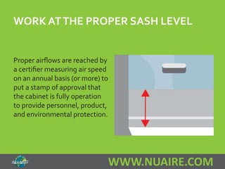 Tips for Working Safely in your Biosafety Cabinet | PPTX