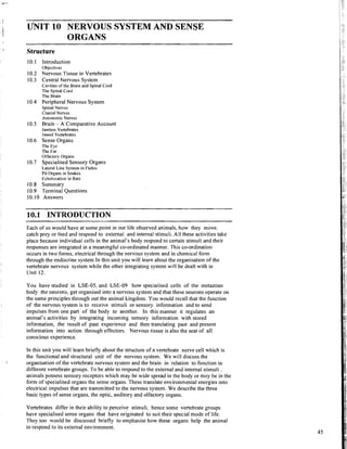 BSc-Zoology-02Sem-DrVijay-Comparative anatomy of vertebrates.pdf