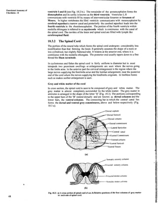 BSc-Zoology-02Sem-DrVijay-Comparative anatomy of vertebrates.pdf