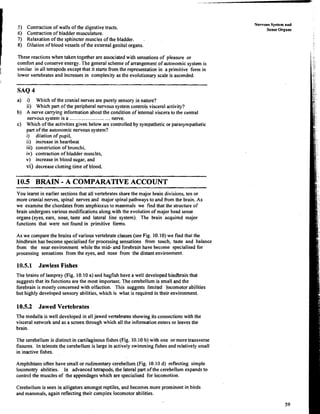 BSc-Zoology-02Sem-DrVijay-Comparative anatomy of vertebrates.pdf