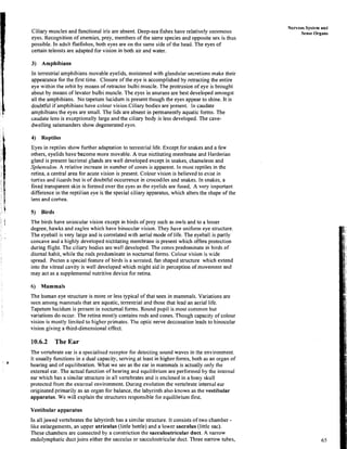 BSc-Zoology-02Sem-DrVijay-Comparative anatomy of vertebrates.pdf