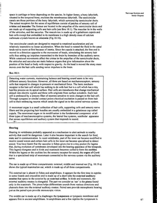 BSc-Zoology-02Sem-DrVijay-Comparative anatomy of vertebrates.pdf