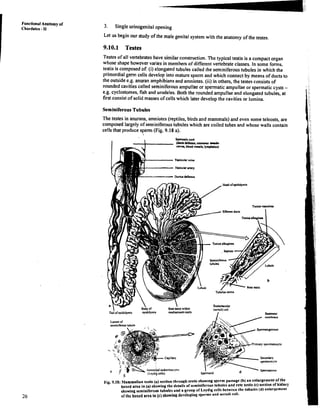BSc-Zoology-02Sem-DrVijay-Comparative anatomy of vertebrates.pdf