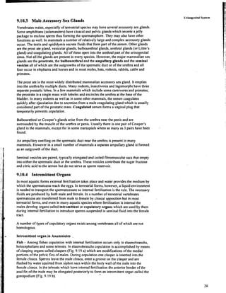 BSc-Zoology-02Sem-DrVijay-Comparative anatomy of vertebrates.pdf