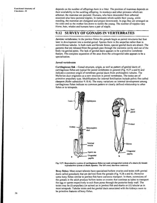BSc-Zoology-02Sem-DrVijay-Comparative anatomy of vertebrates.pdf