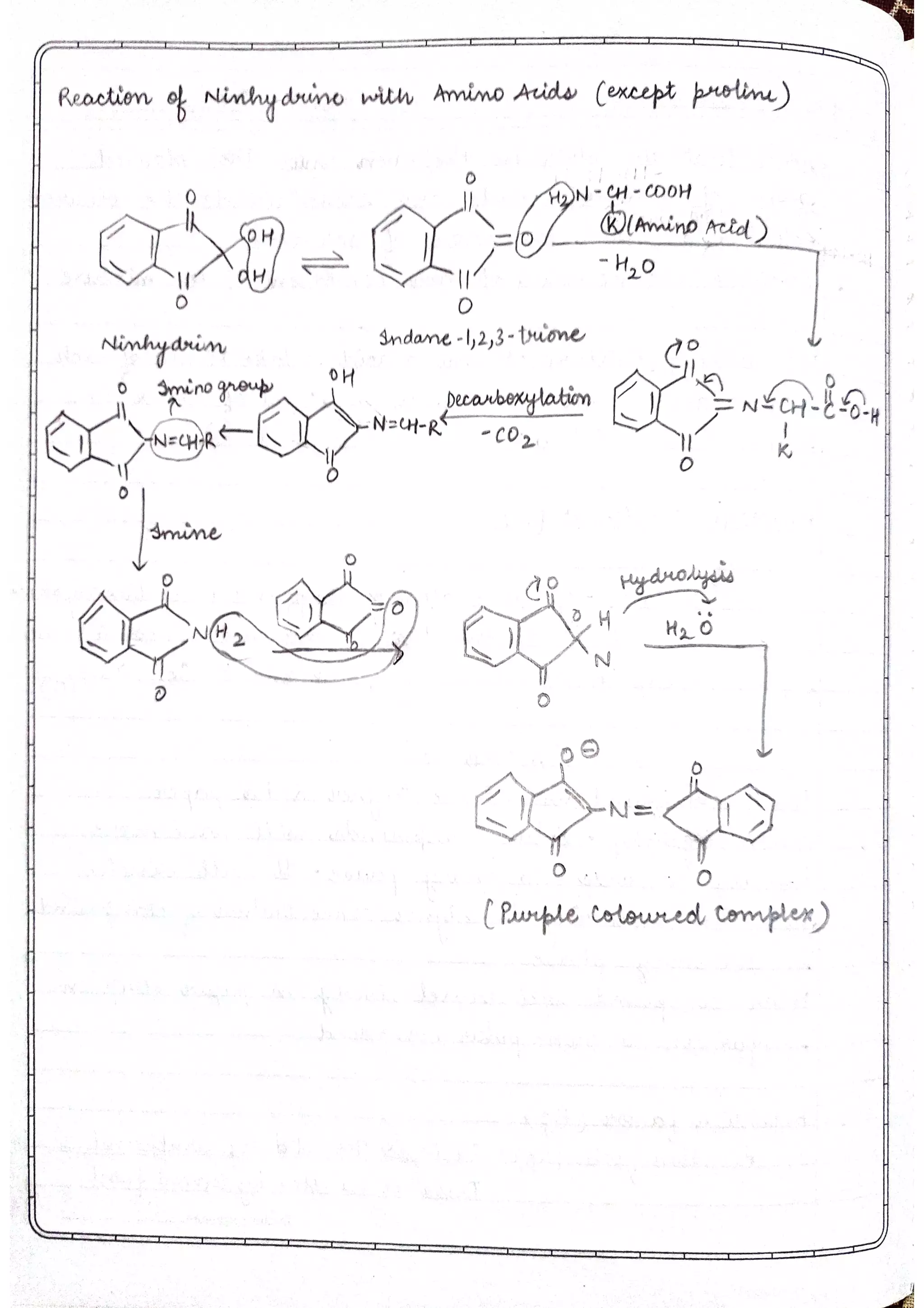 BSC 1st year Chemistry Practical 1 .pdf