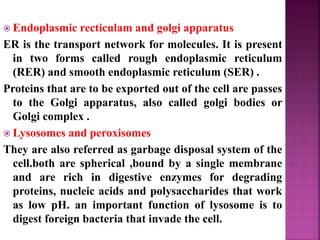 Biochemistry Introduction | PPTX