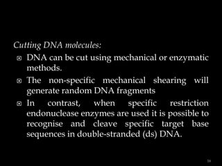 B sc biotech i fob unit 3 genetic engineering | PPTX