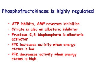 Carbohydrate metabolism | PPT