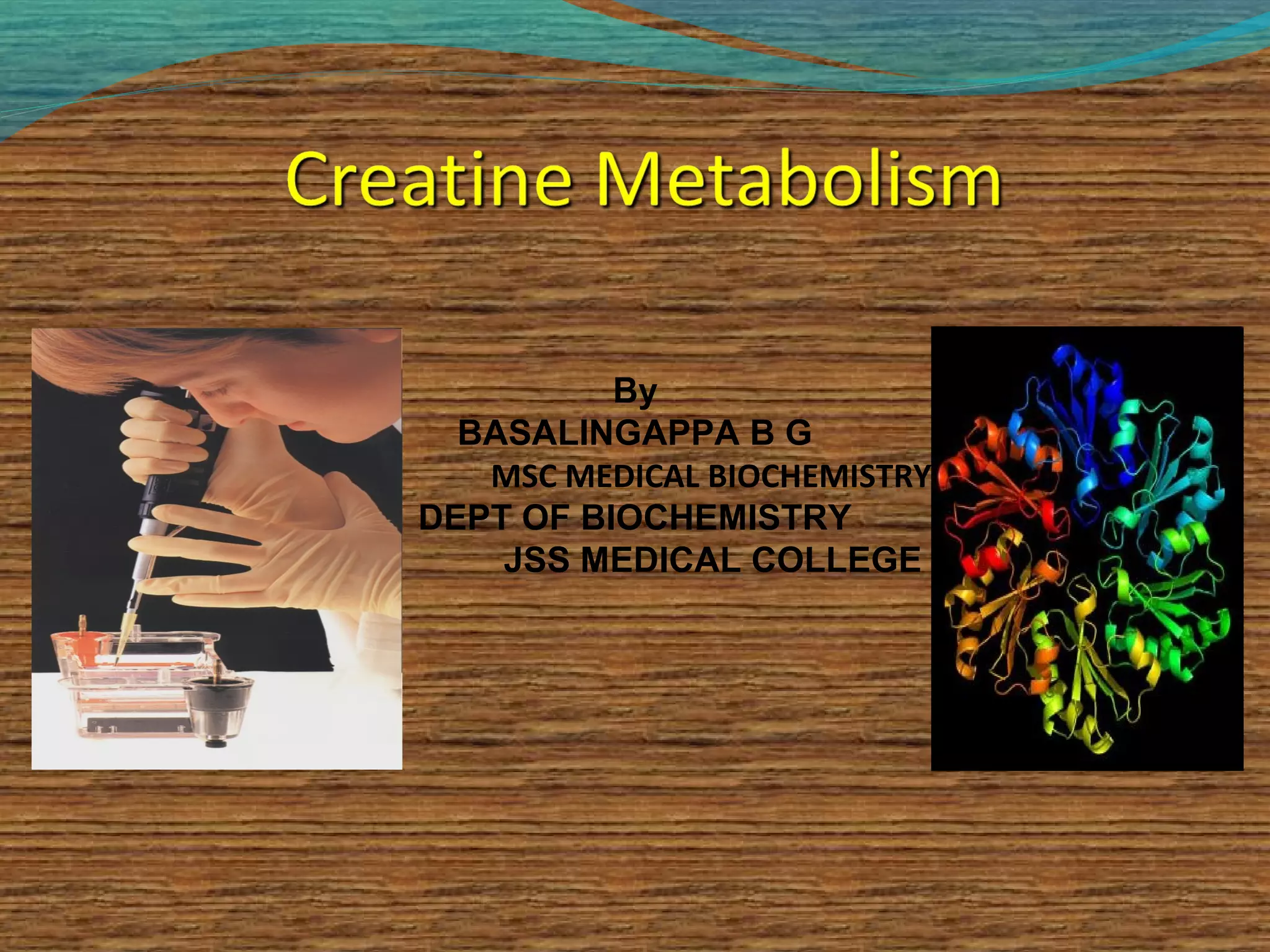Bsc class creatine | PPT