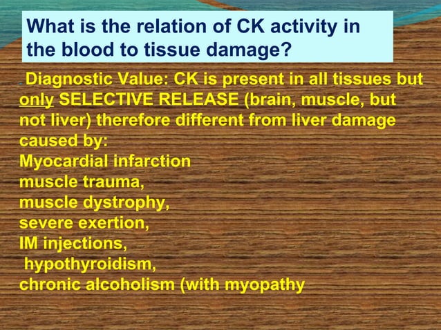 Bsc class creatine | PPT