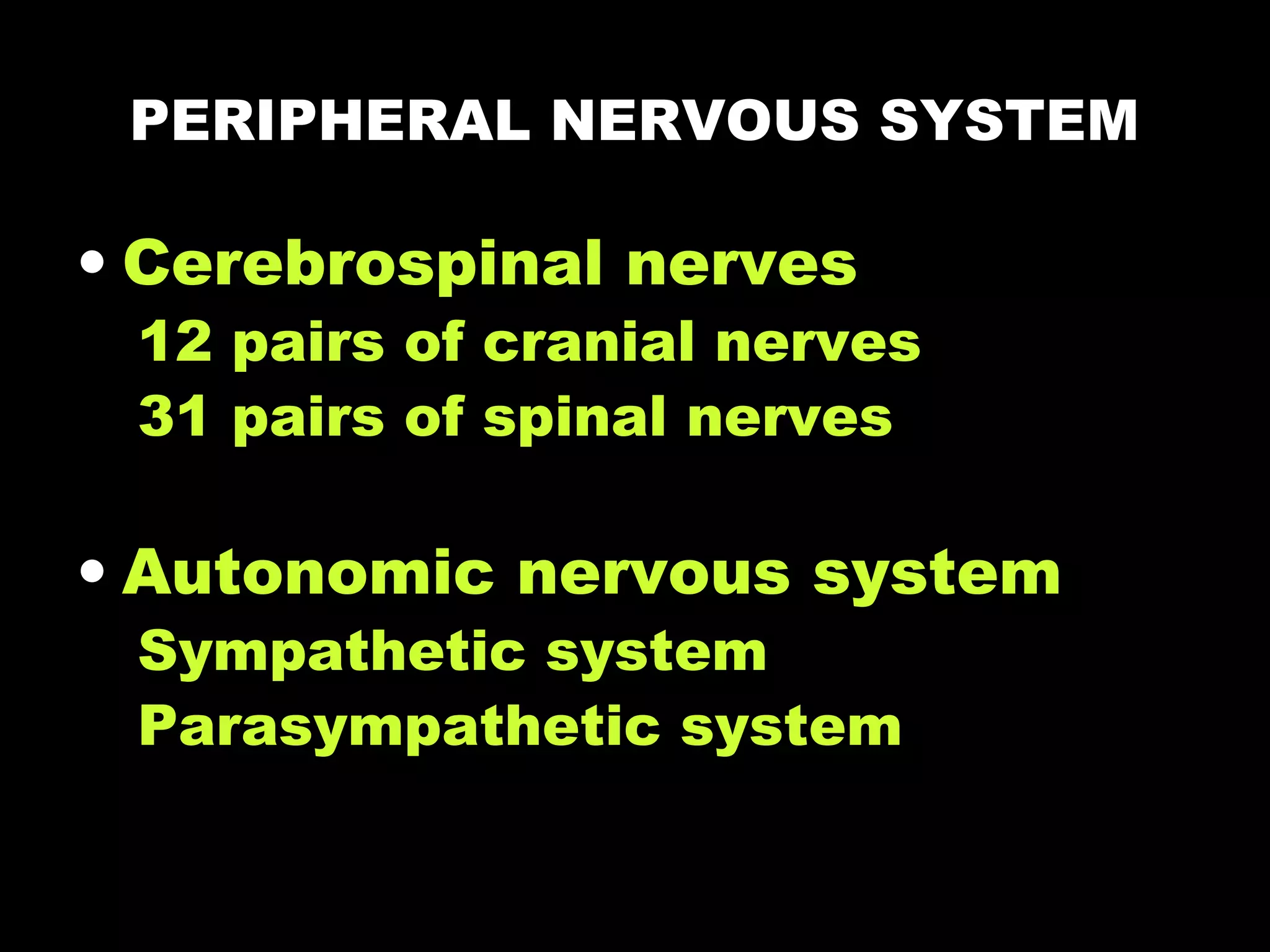 cranial nerves based on medical science | PPT