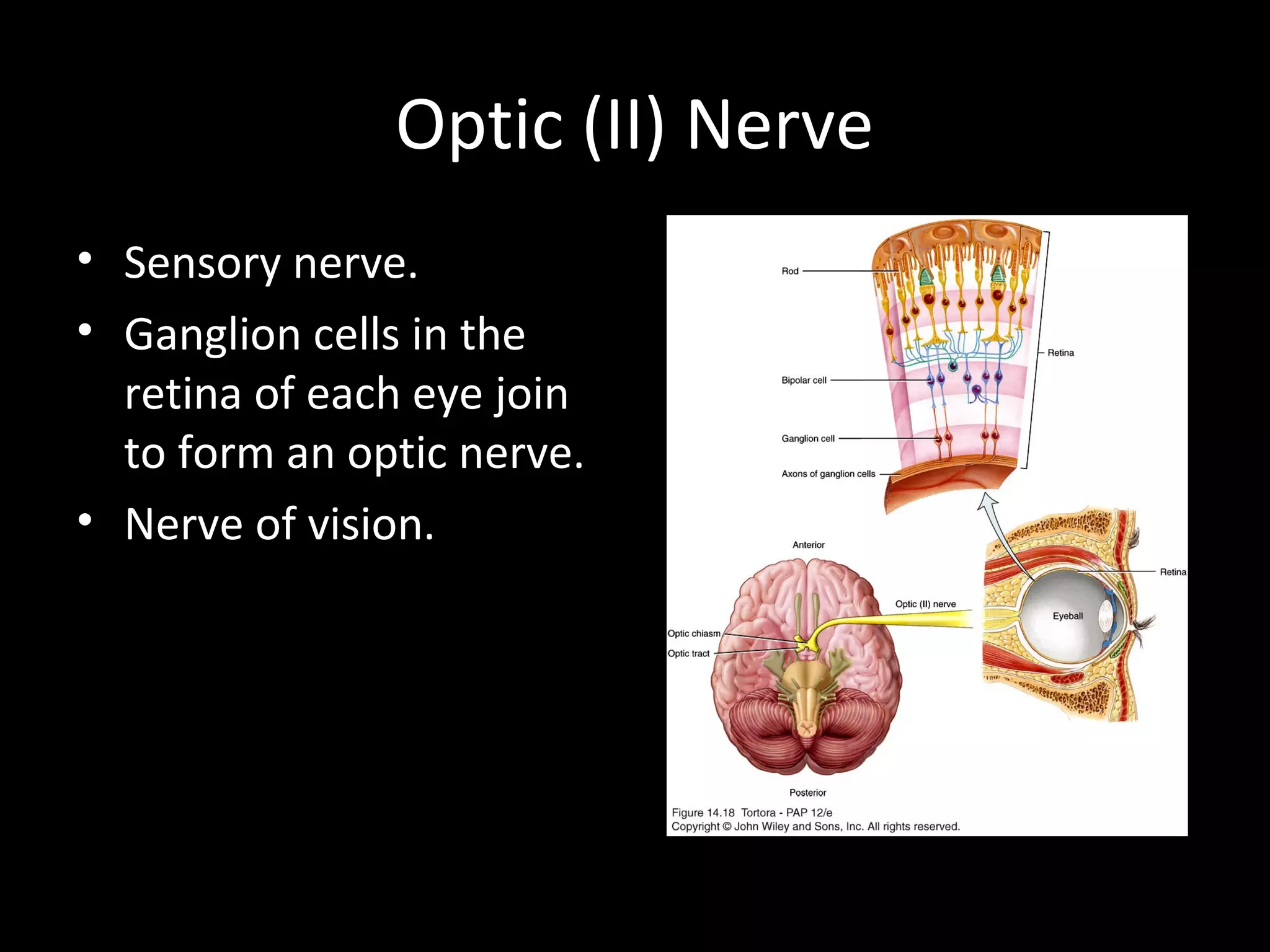 cranial nerves based on medical science | PPT