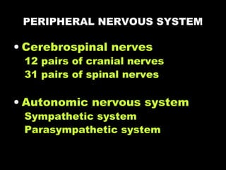cranial nerves based on medical science | PPT