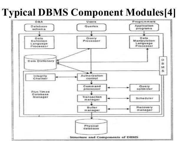 Bsc Cs Ii Dbms U Ii Database System Concepts And Architecture 7055