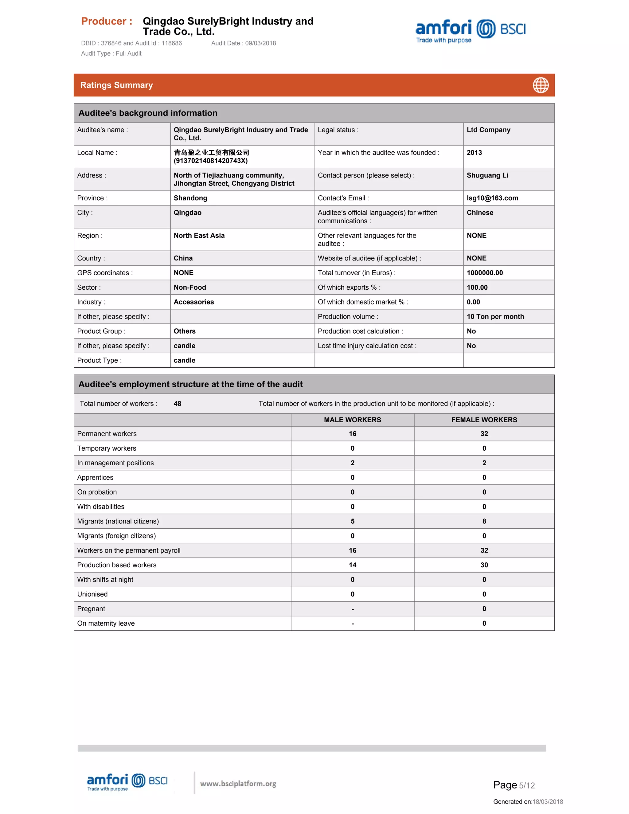 Bsci summary auditreport | PDF