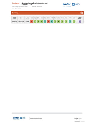 Bsci summary auditreport | PDF