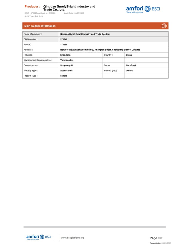 Bsci summary auditreport | PDF