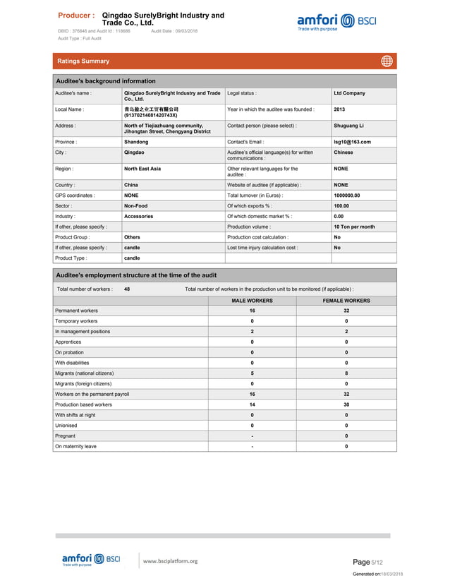 Bsci summary auditreport | PDF
