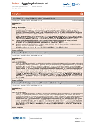 Bsci summary auditreport | PDF
