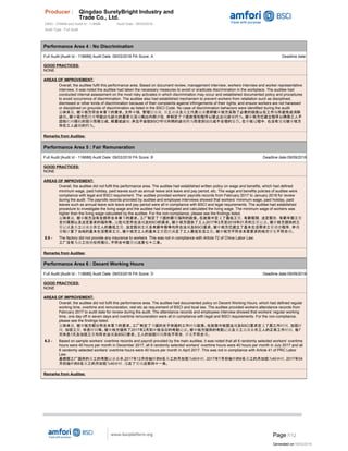 Bsci summary auditreport | PDF