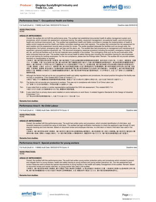 Bsci summary auditreport | PDF