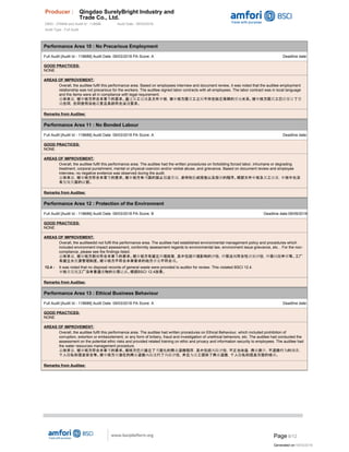 Bsci summary auditreport | PDF