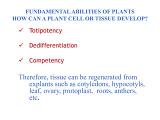 BSc III.pdf Plant tissue culture study material | PDF