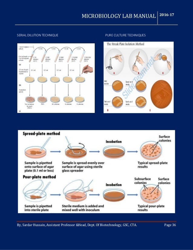 Prescott Microbiology Lab Manual prescott-microbiology-lab-manual