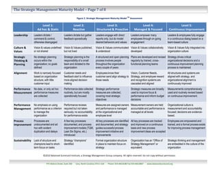 Bsci Strategic Management Maturity Model | PDF