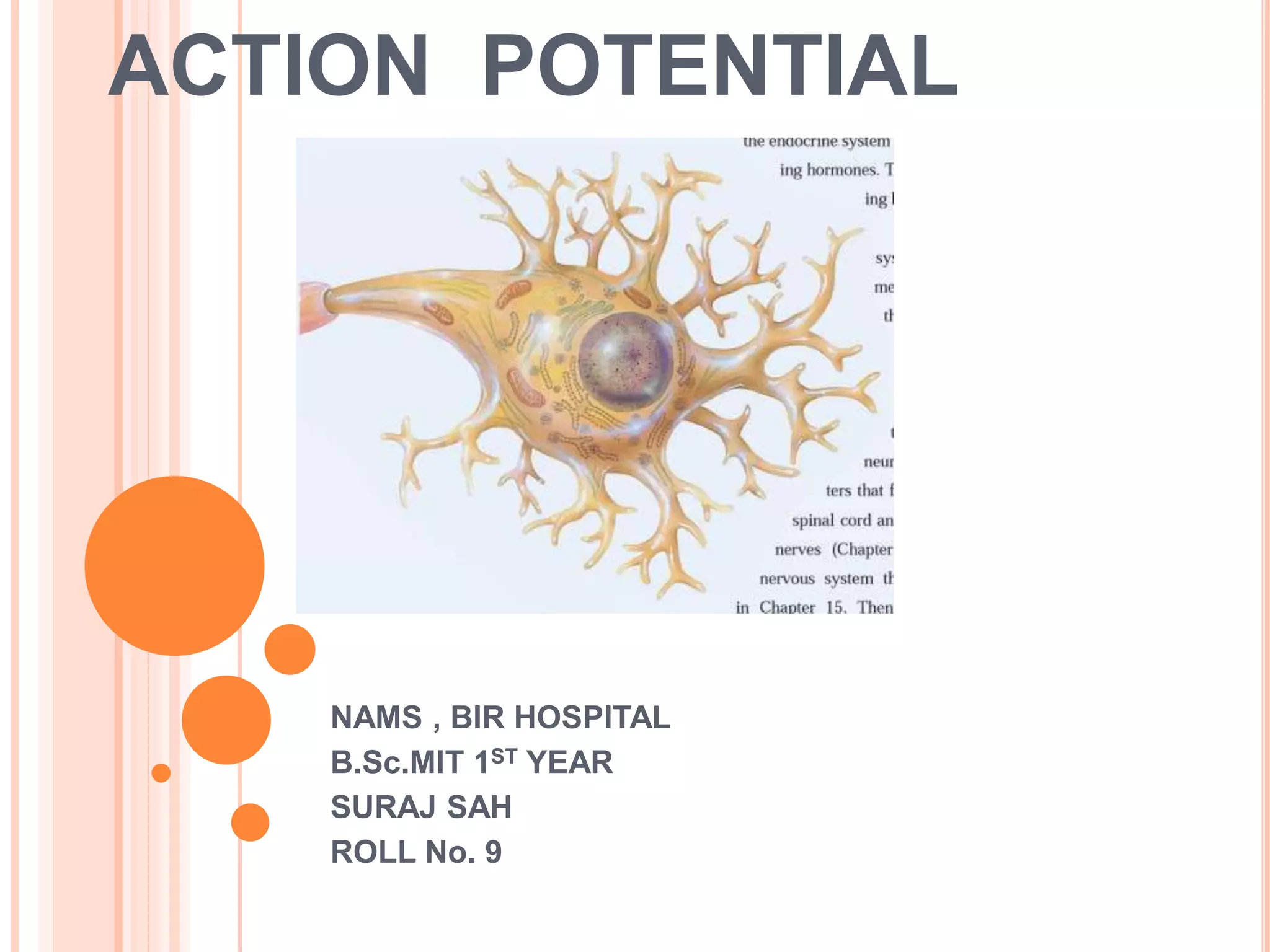 BSC Lecture Action potential.pdf