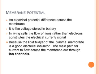 BSC Lecture Action potential.pdf
