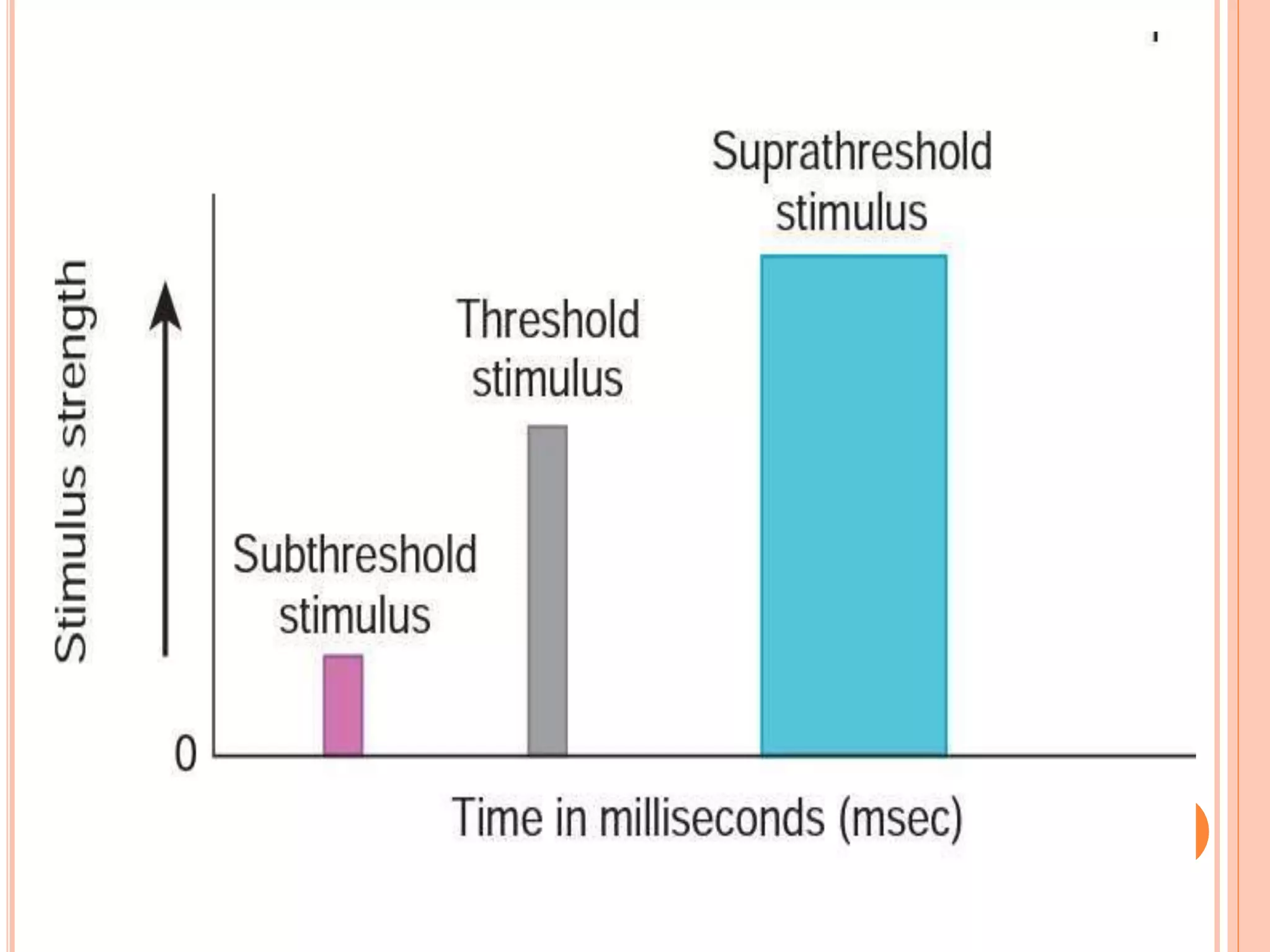BSC Lecture Action potential.pptx
