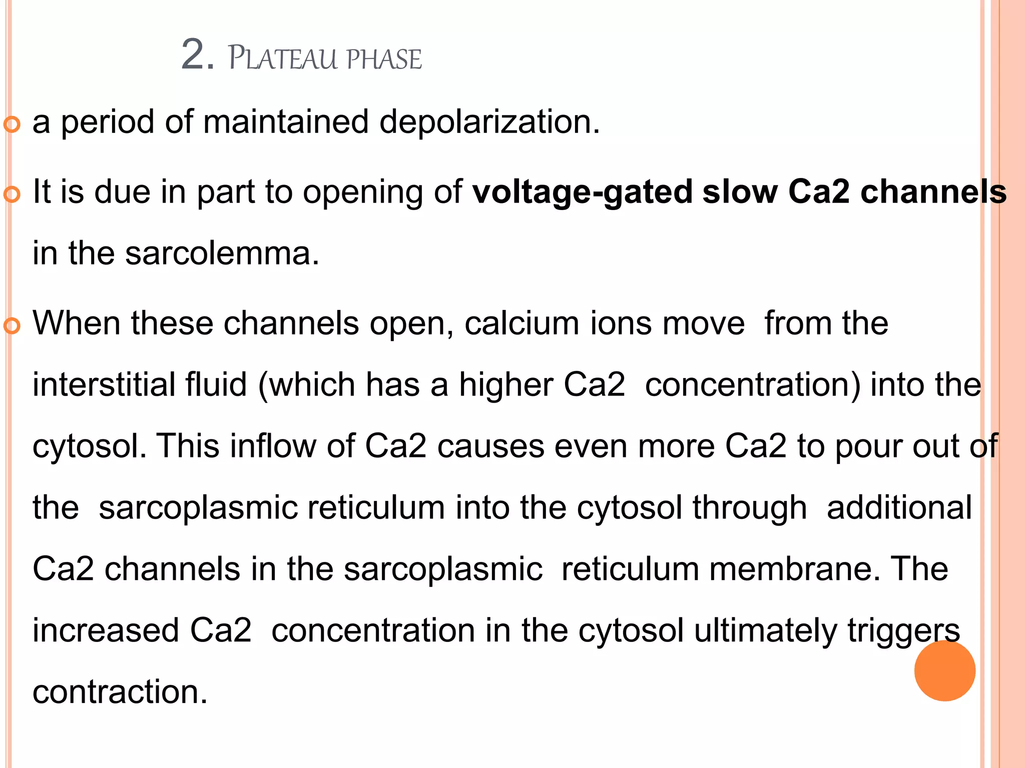BSC Lecture Action potential.pptx