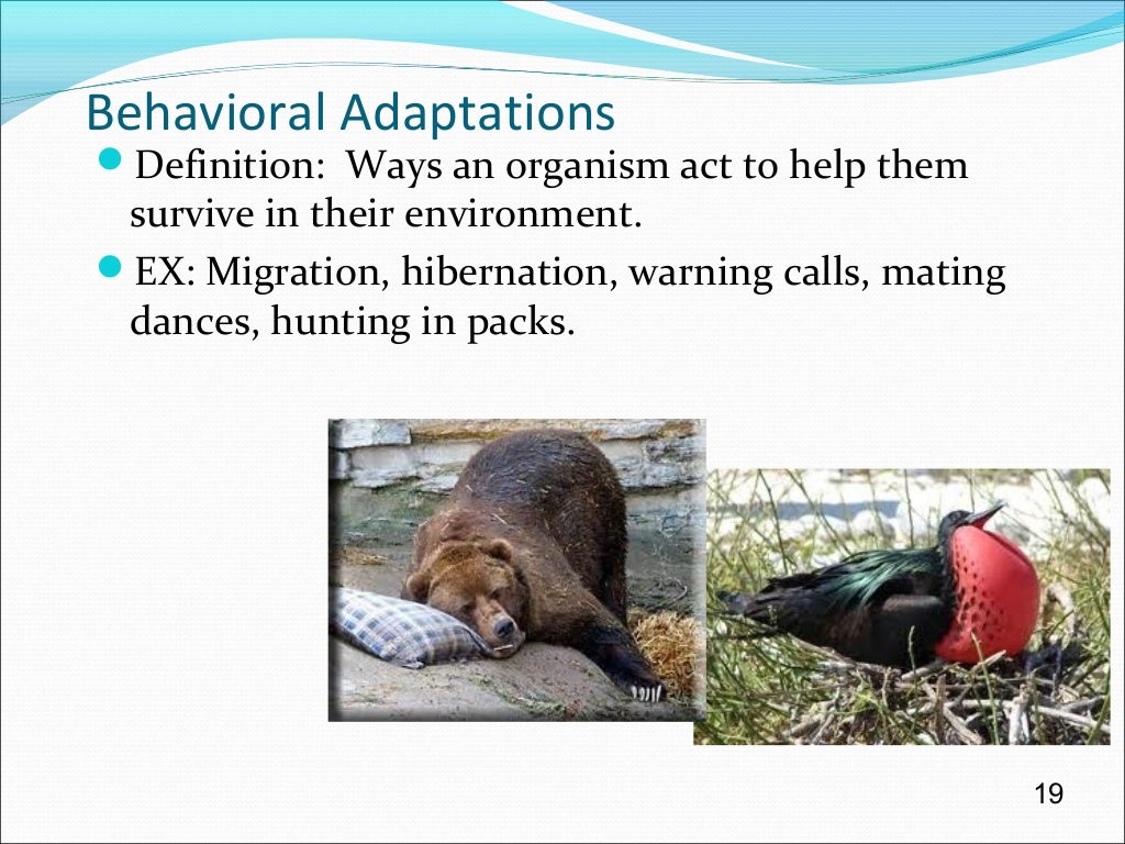 B sc micro, biotech, biochem i es u 2 ecology