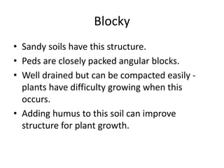 B sc micro, biotech, biochem i es u 3.2 soil | PPTX