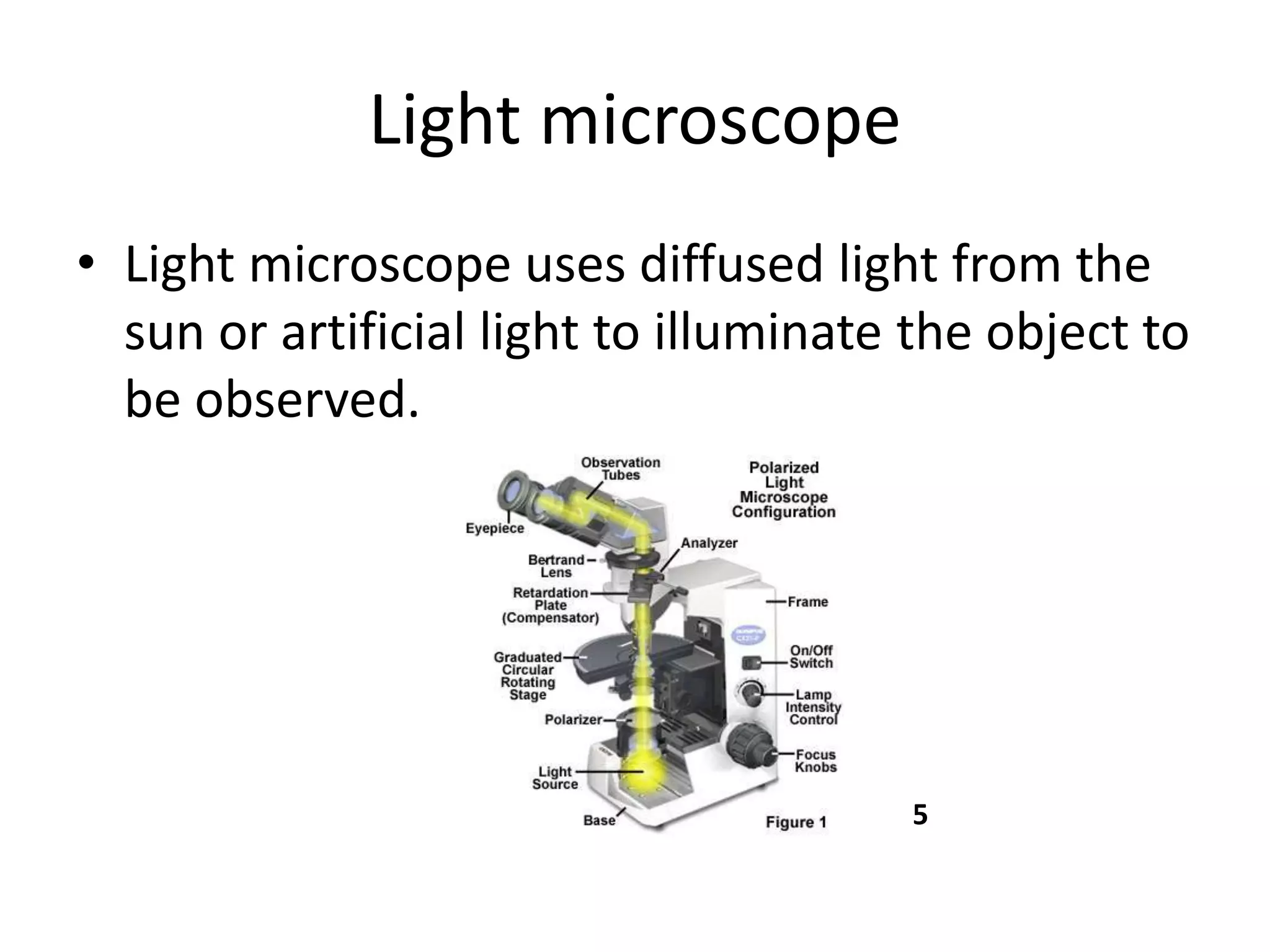 B sc micro i btm u 1 microscopy and staining | PPTX