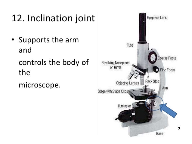 B sc micro i btm u 1 microscopy and staining
