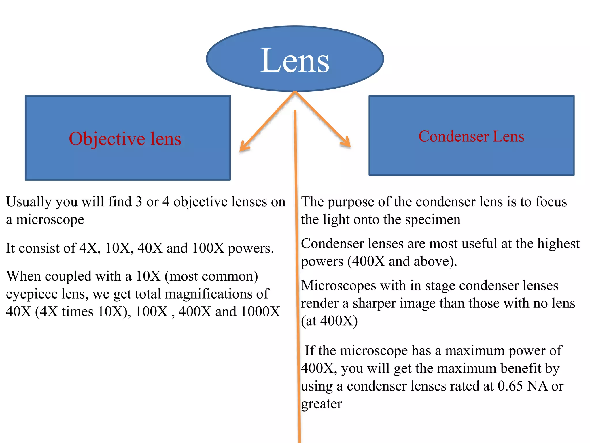 B sc micro i btm u 1 microscopy and staining | PPTX