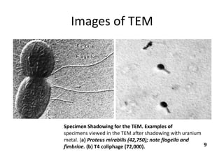 B sc micro i btm u 1 microscopy and staining | PPTX