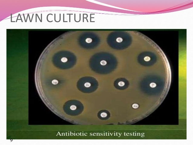 B sc micro i btm u 4 nutritional requirements