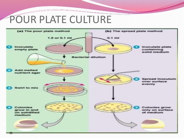 B sc micro i btm u 4 nutritional requirements