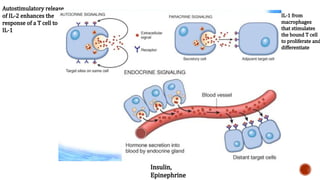 BSCMLTEndocrinology Introduction to Hormones | PPT