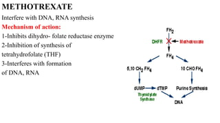 BScN ANTICANCER .pptx