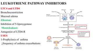 BScN DRUGS USED IN ASTHMA and hypersensitivity.pptx