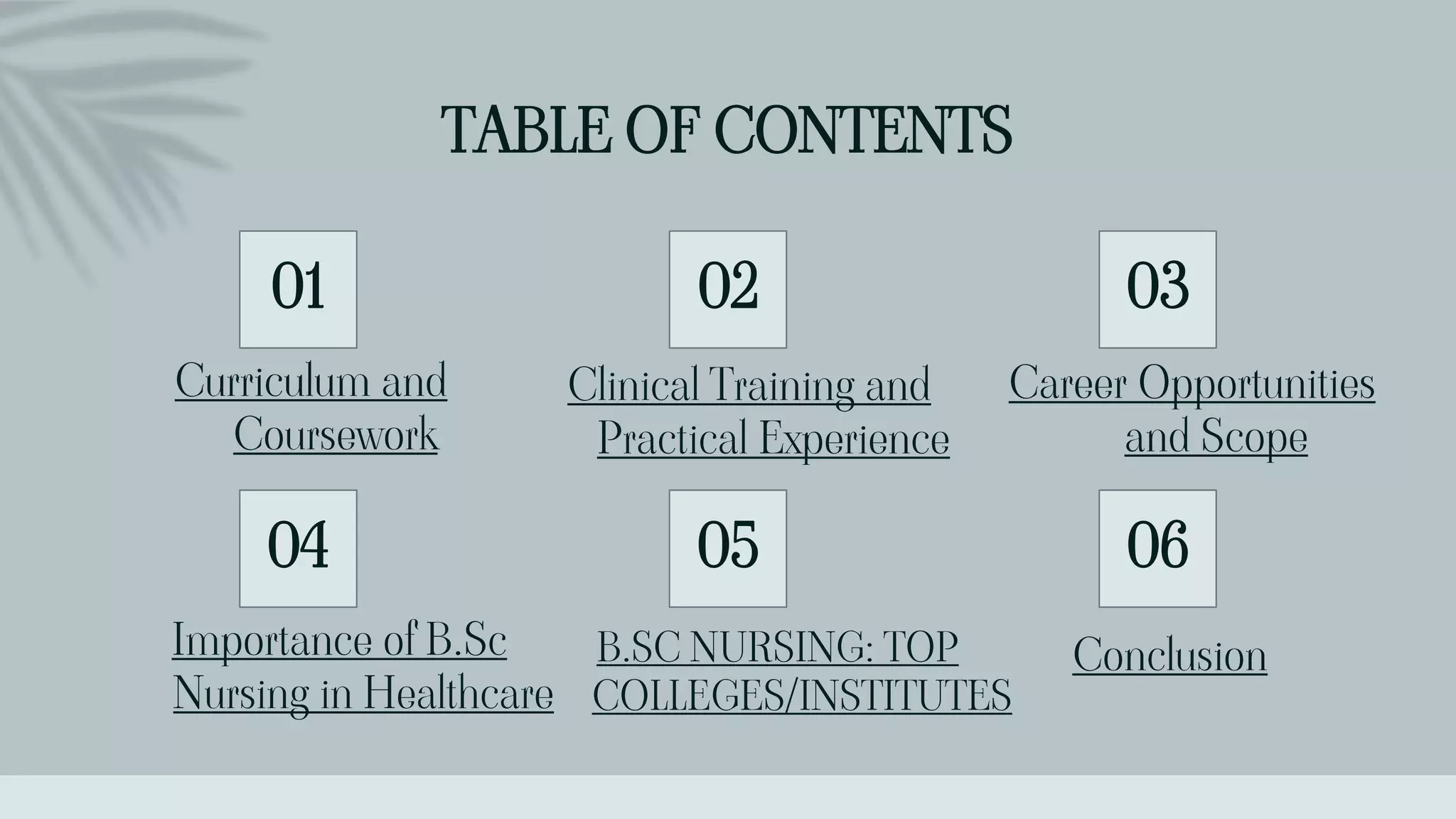 Bsc Nursing Pptx