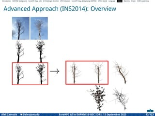 EuroHPC AI in DAPHNE | PDF