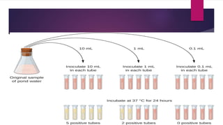 BSc Sy MPN Test Kohinoor College Khultabad.pptx