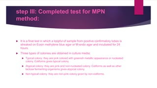 BSc Sy MPN Test Kohinoor College Khultabad.pptx